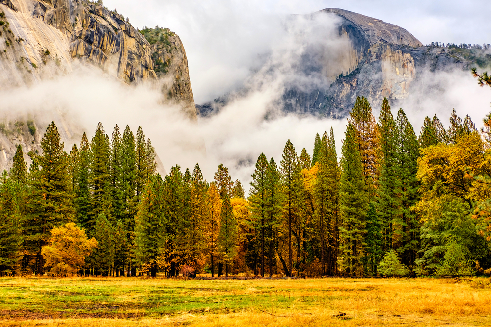 Best Time to Visit California: A Local's Month-by-Month Guide